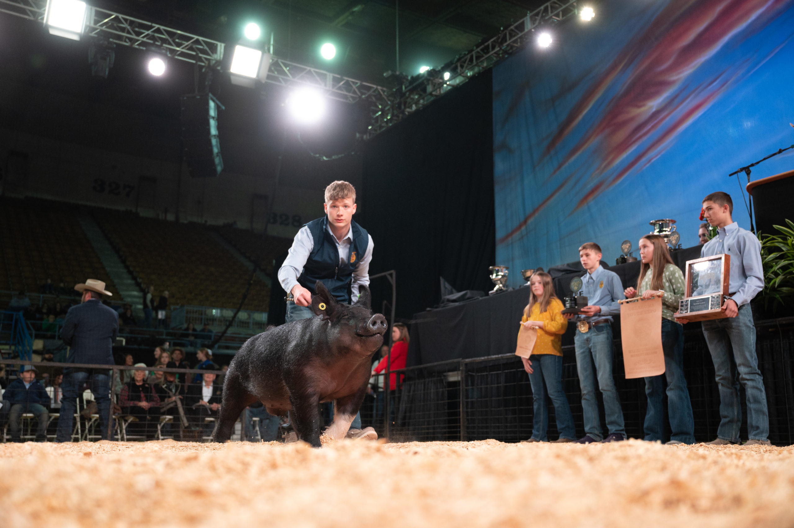 2022 OYE Sale of Champions Experiences Record-Breaking Year - Oklahoma ...